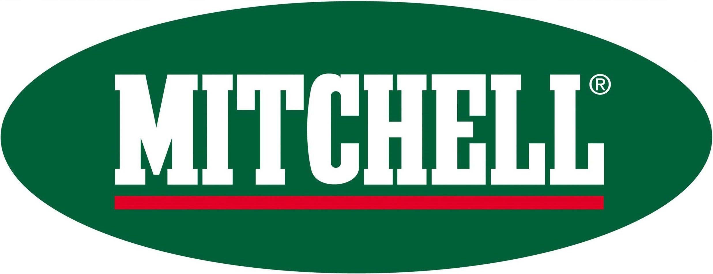 KOŁOWROTEK MITCHELL BLUE WATER R 9000 1377161 - Ceny i opinie - Ceneo.pl