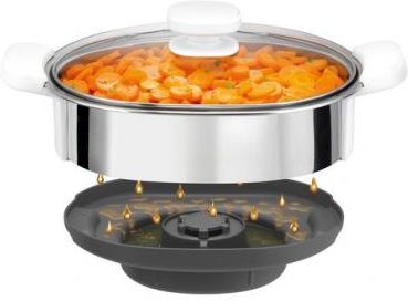 TEFAL Parowar COMPANION/ i-COMPANION XF386B - Opinie i ceny na Ceneo.pl