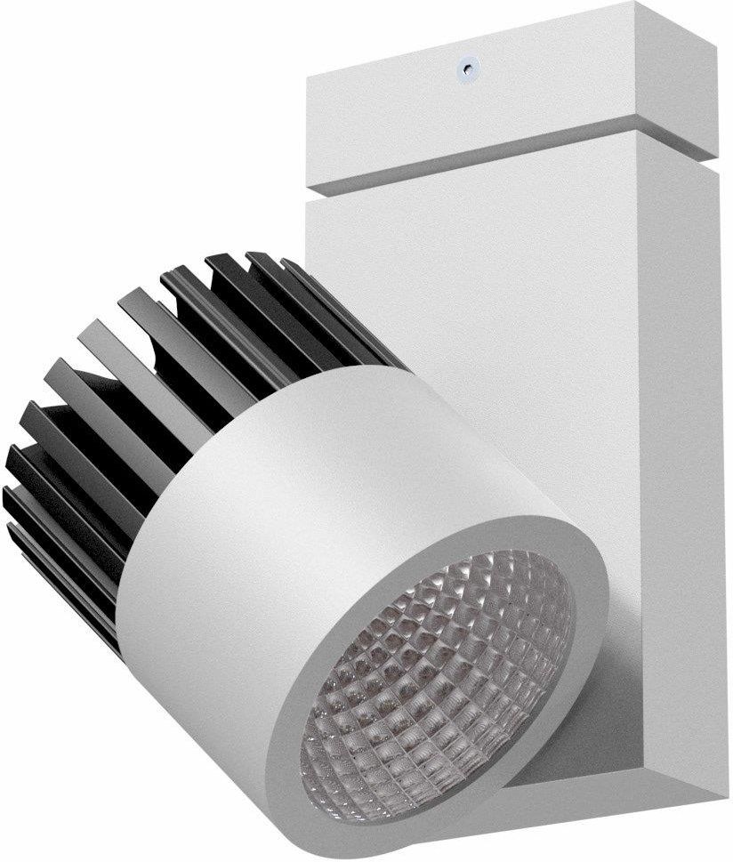 Cleoni Astor Led Slm Biały Sygnałowy (T117002SDPW11742D940) - Opinie i ...