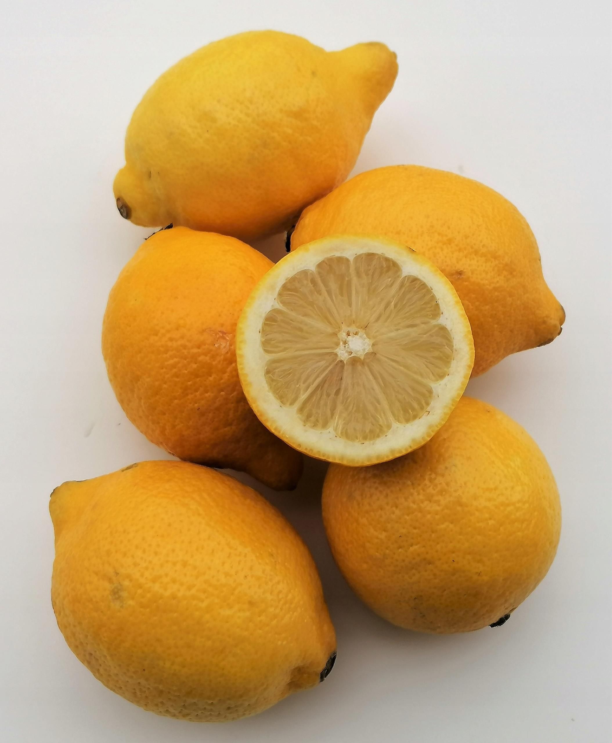 Cytryna, cytryny,cienka skórka świeże,soczysta 1kg - Ceny i opinie ...