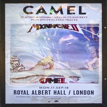 Camel - At The Royal Albert Hall (DVD) - Ceny i opinie - Ceneo.pl