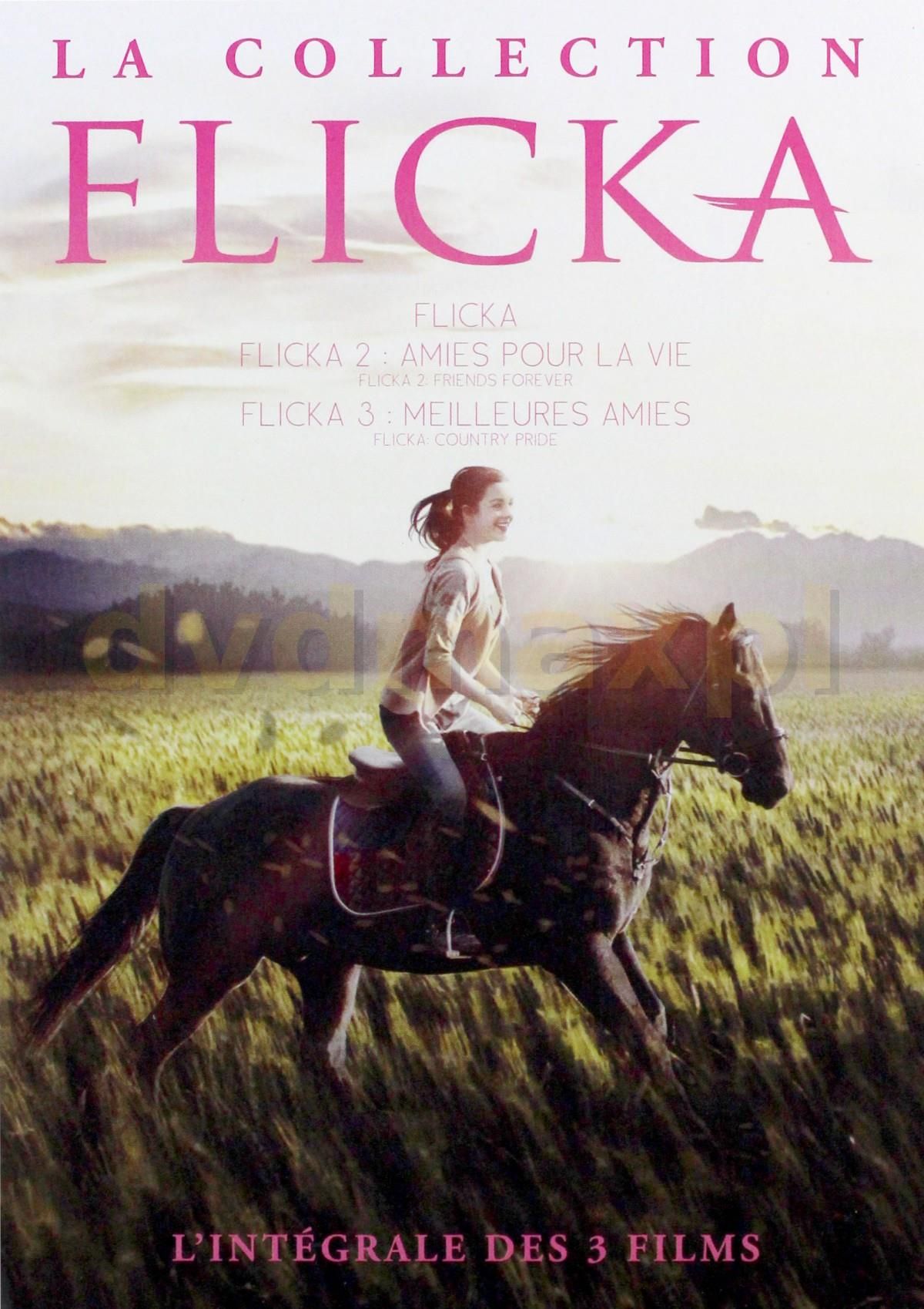 Film DVD Flicka Collection: Flicka 1-3 [3DVD] - Ceny i opinie - Ceneo.pl