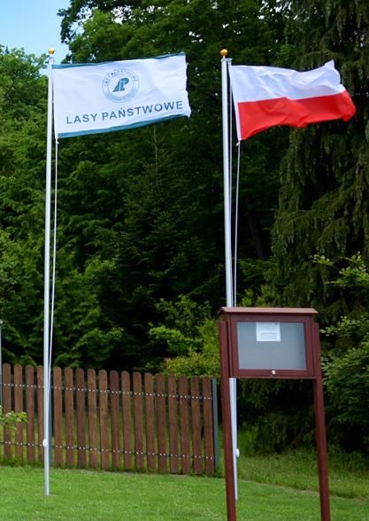 MASZT ALUMINIOWY FLAGOWY 6,20M FLAGA POLSKA - Ceny i opinie - Ceneo.pl