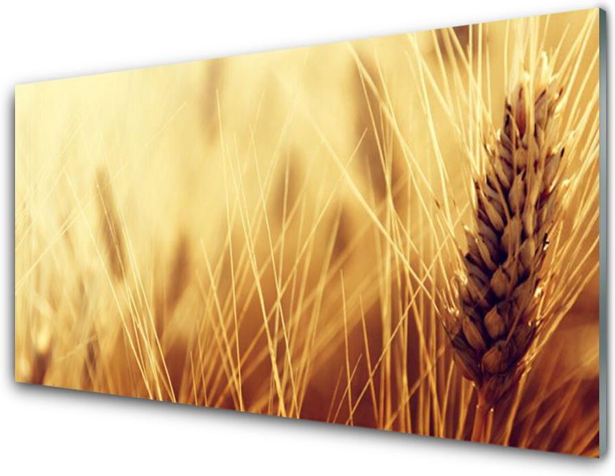 Tulup Obraz Akrylowy Pszenica Roślina Natura 140x70cm (PLOAHNN61514933 ...