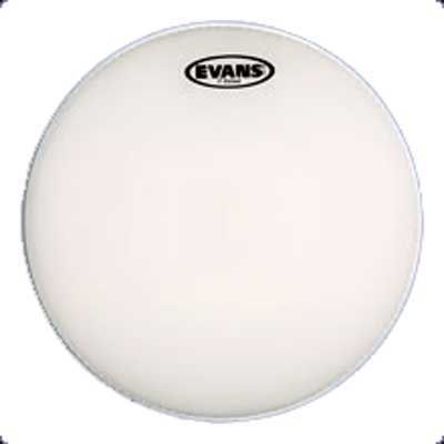 Evans Genera HD Coated 13 - Ceny i opinie - Ceneo.pl