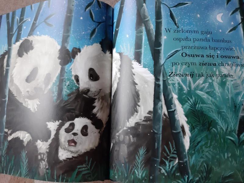 Czytanka usypianka - Ceny i opinie - Ceneo.pl