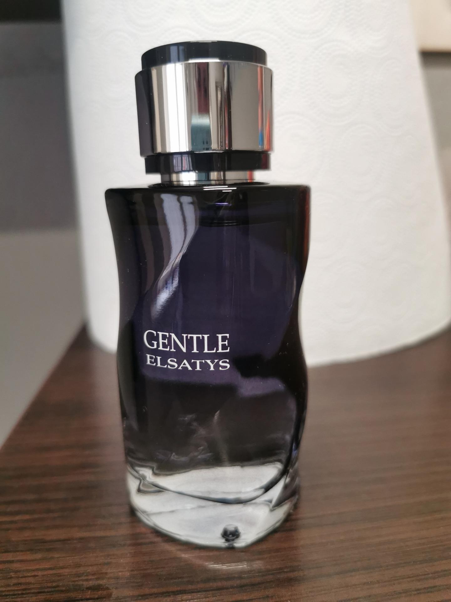 Reyane Tradition Gentle Elsatys Woda Perfumowana 100 ml - Opinie i ceny ...