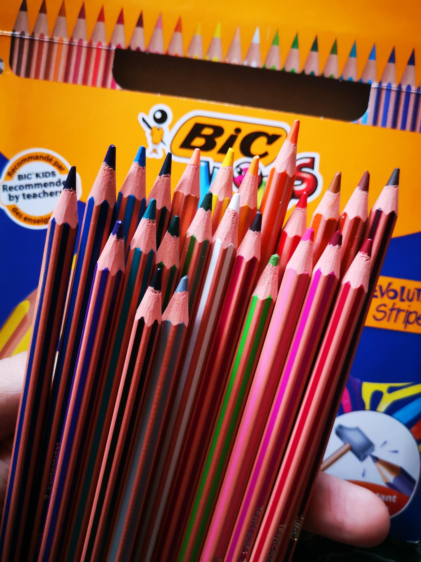 Bic Kredki Eco Evolution Stripes 18+6 Kolorów - Ceny i opinie - Ceneo.pl