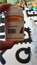 Vetoquinol Caniviton Protect 90 tab - Ceny i opinie - Ceneo.pl