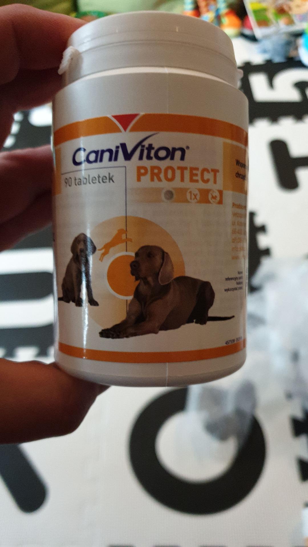 Vetoquinol Caniviton Protect 90 tab - Ceny i opinie - Ceneo.pl