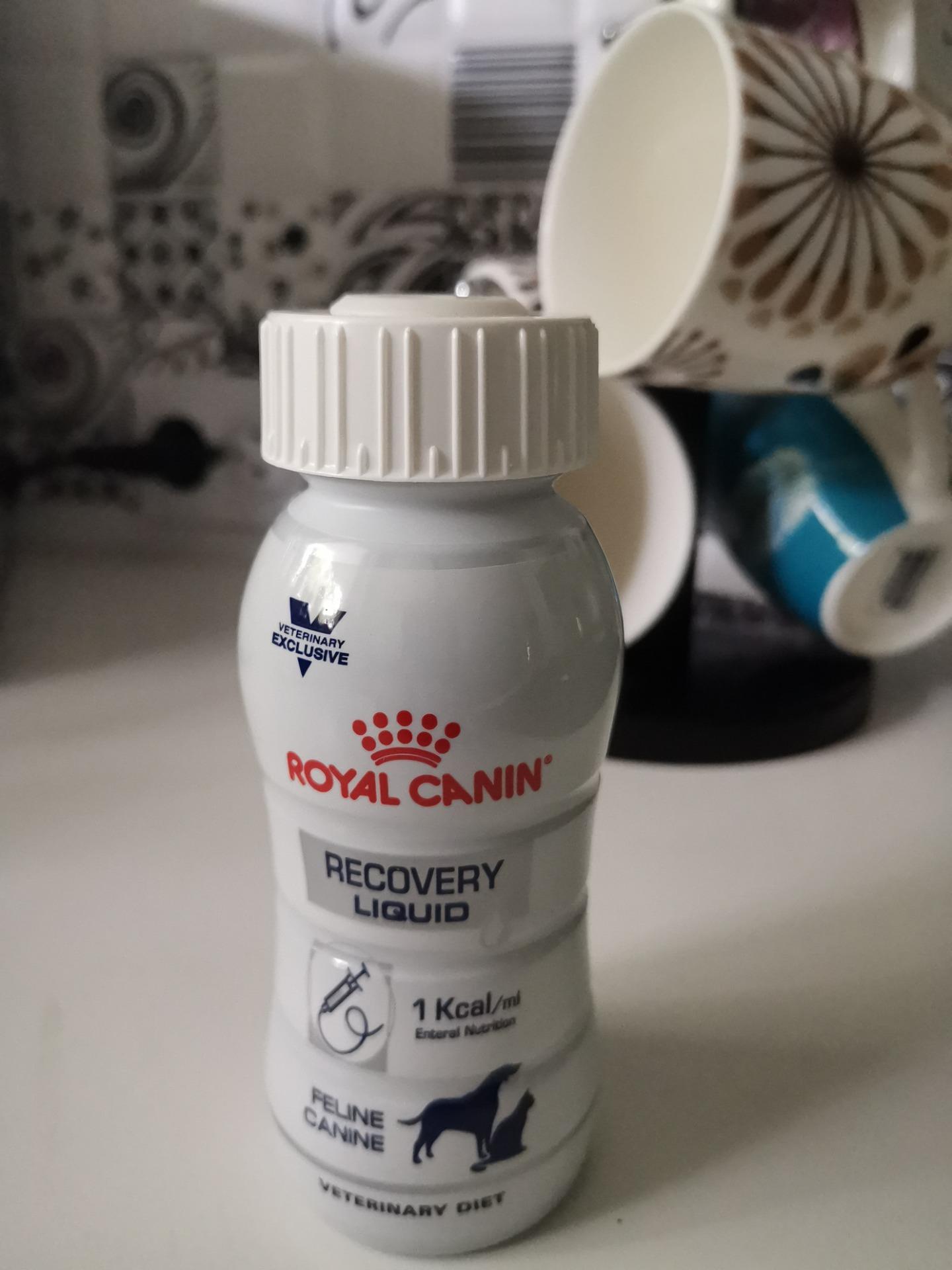 Karma Royal Canin Veterinary Diet Recovery Liquid 200Ml - Ceny i opinie ...