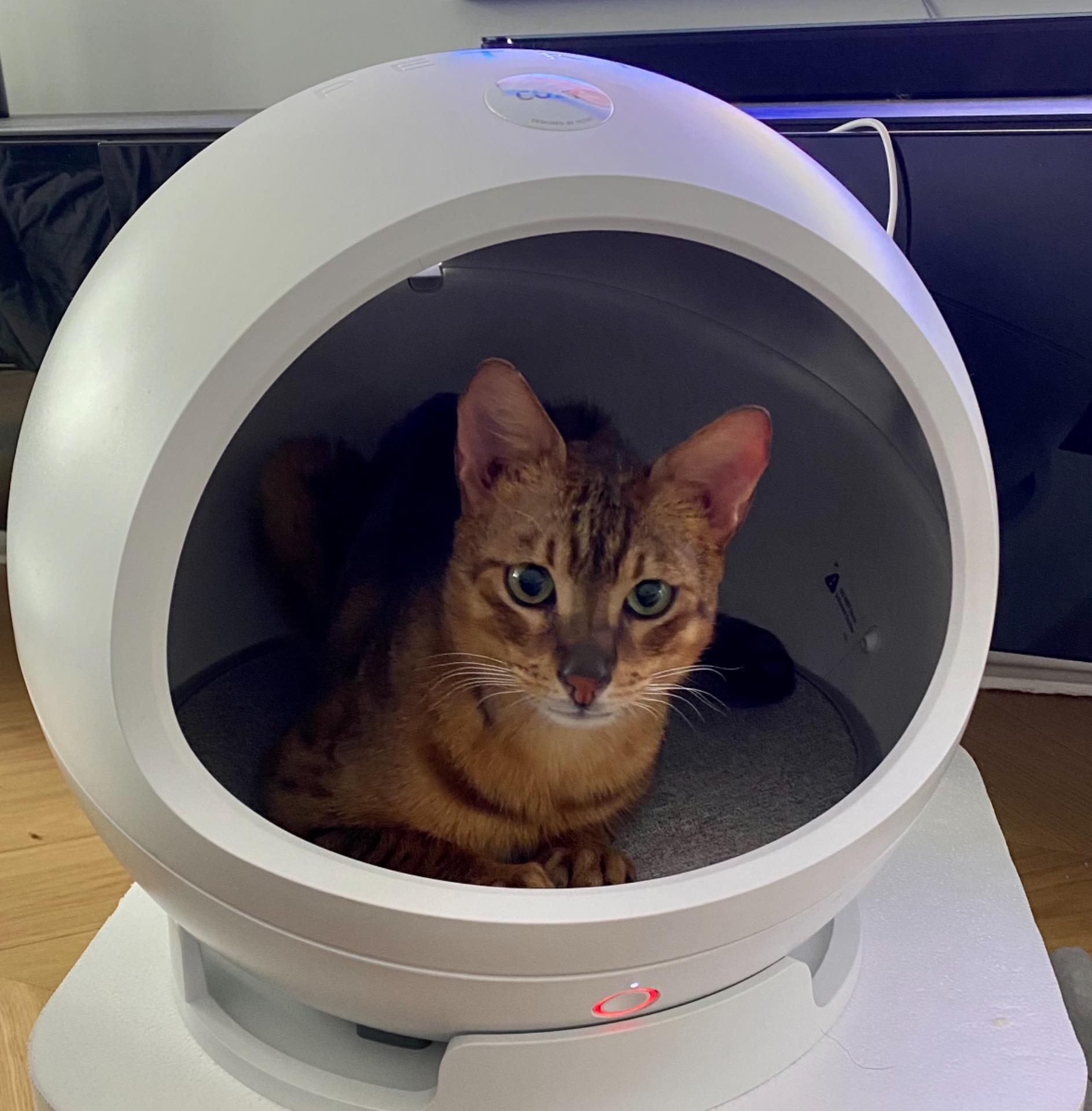 Petkit Smart Pet House Cozy New White - Ceny i opinie - Ceneo.pl