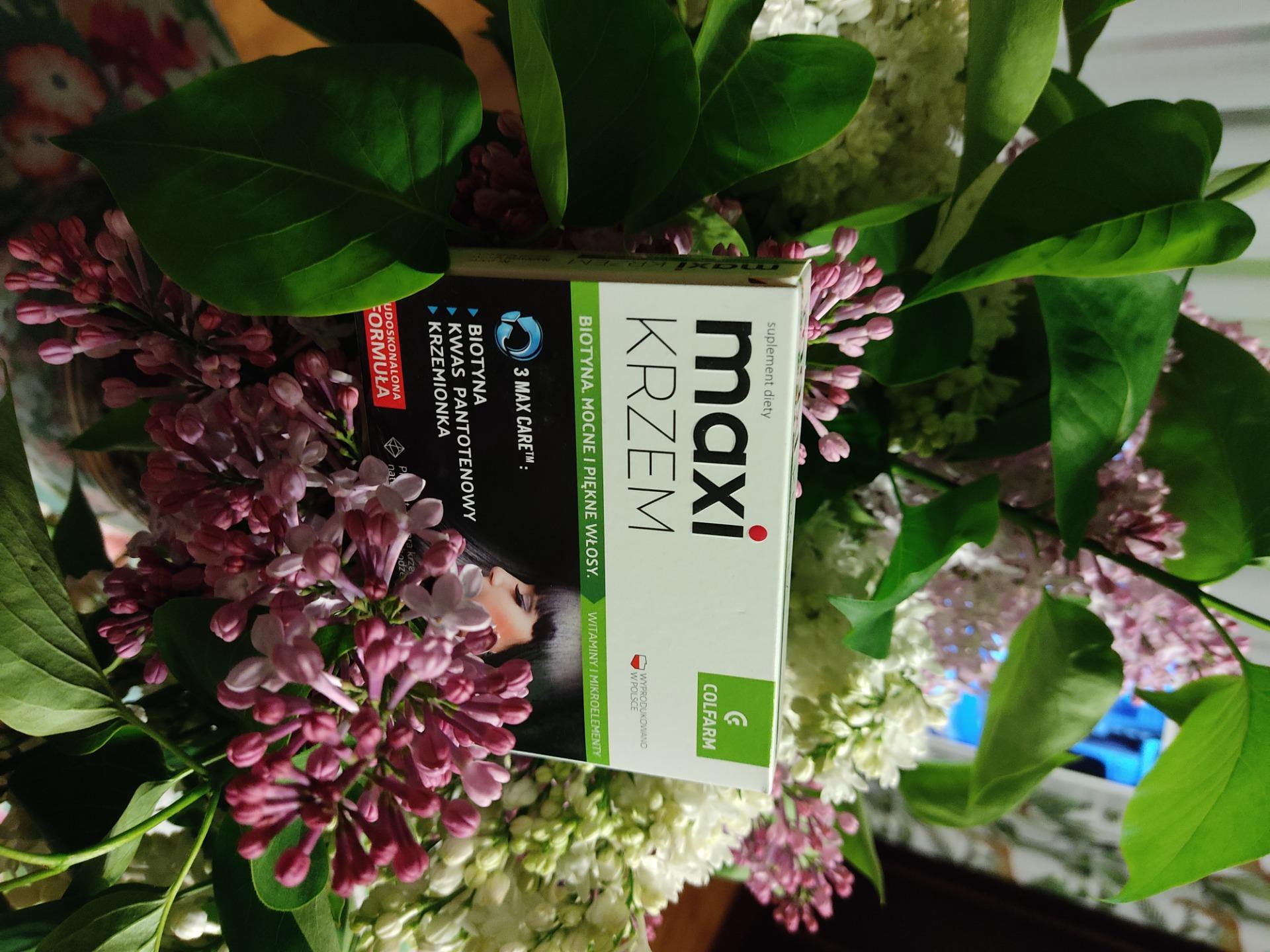 Tabletki Nexon Ginkgo Biloba Max 60 szt. - Opinie i ceny na Ceneo.pl