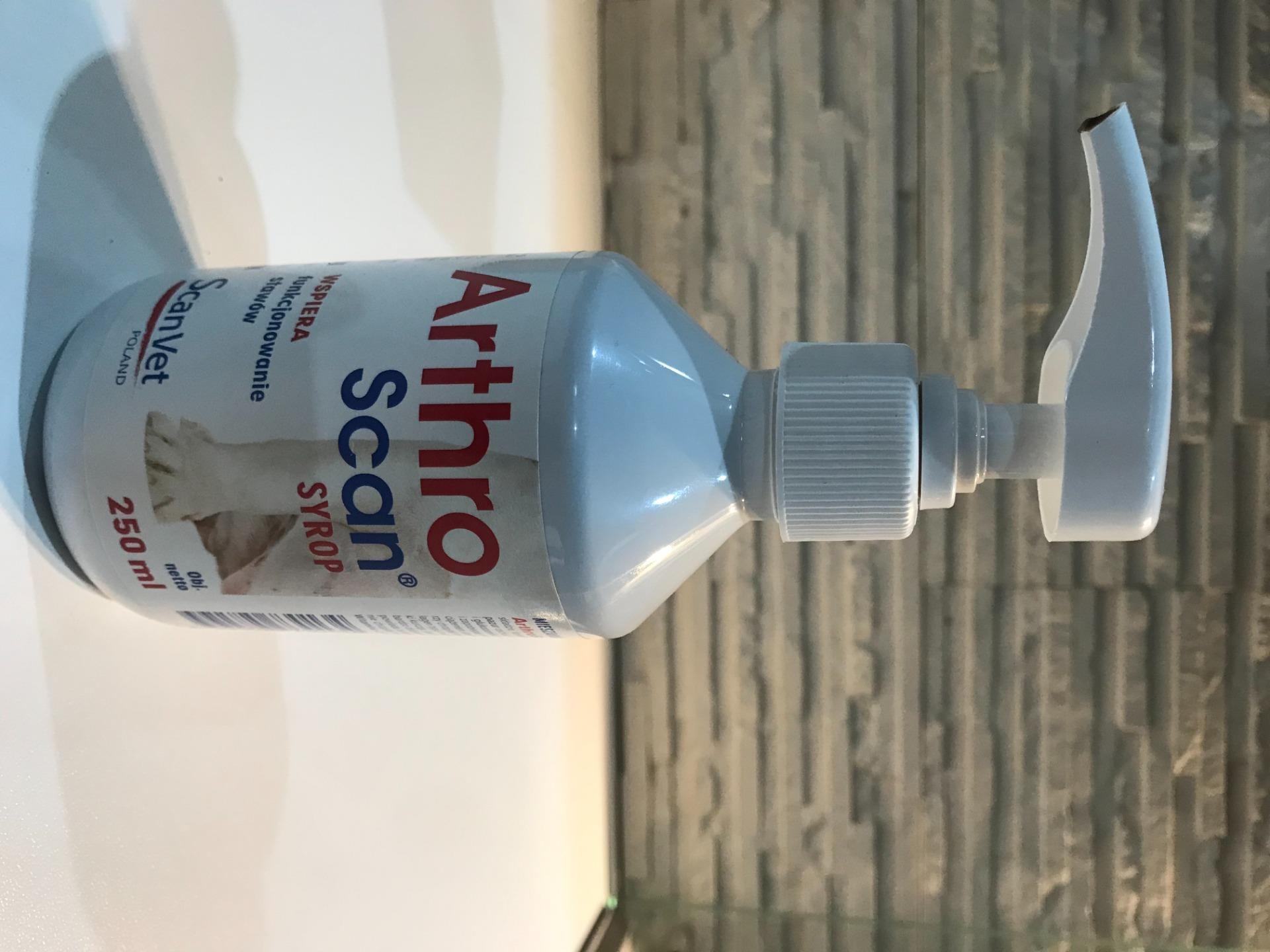 Scanvet Arthroscan Syrop 250 Ml - Ceny i opinie - Ceneo.pl