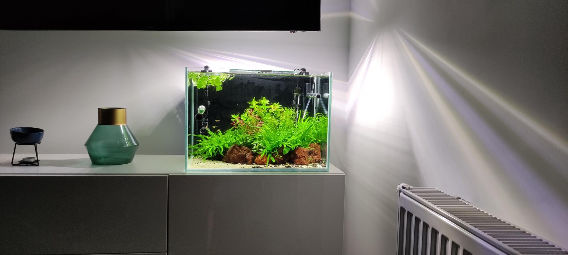 Sunsun Filtr Kubełkowy HW-604B 800l/h 14W 50-150L PREFILTR - Ceny i ...