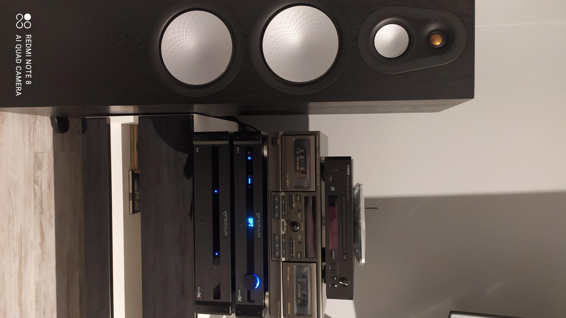 Emotiva BasX PT1 - Opinie i ceny na Ceneo.pl