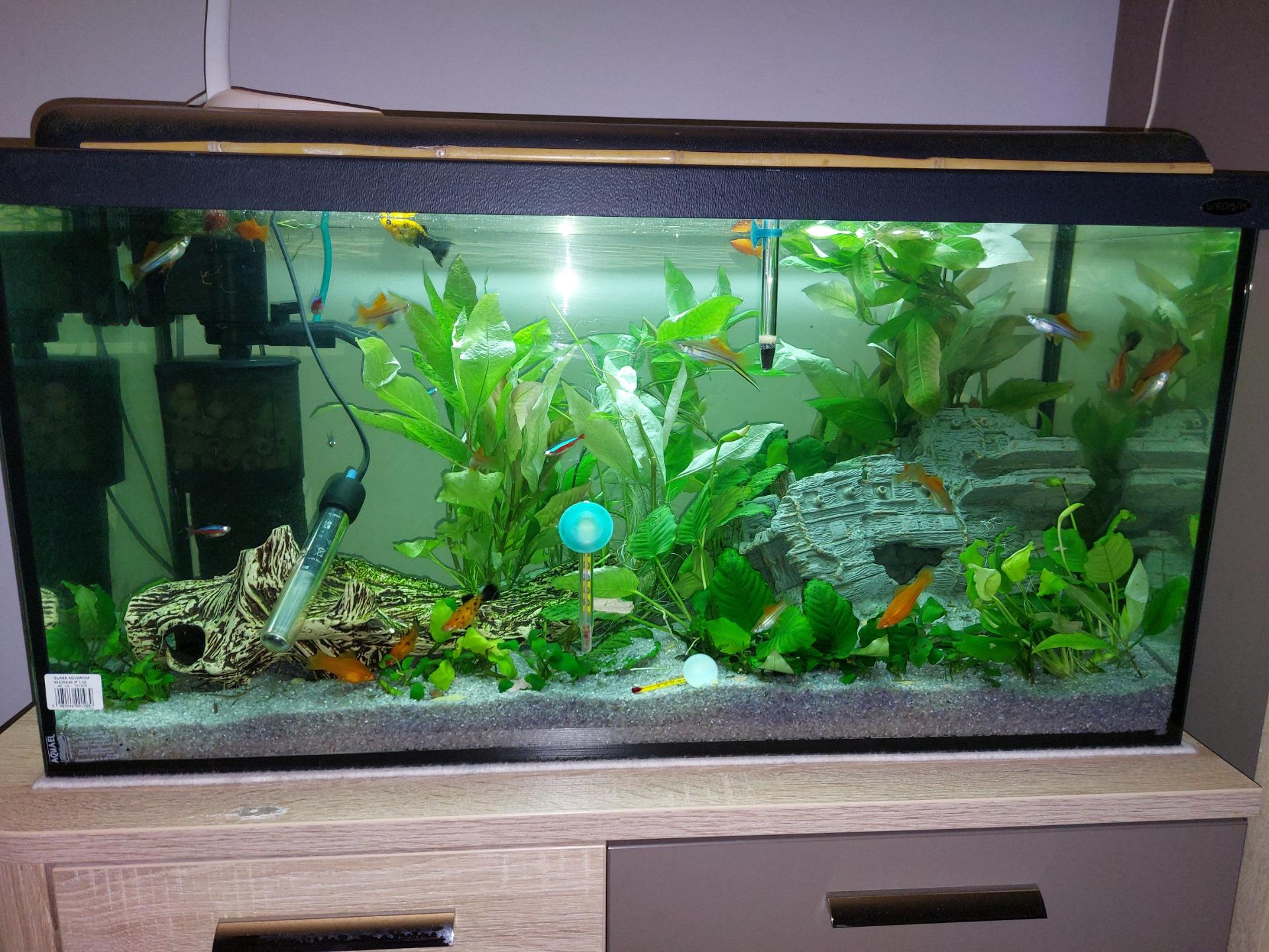 Prodac Nutron Snail Stop 30Ml - Ceny i opinie - Ceneo.pl