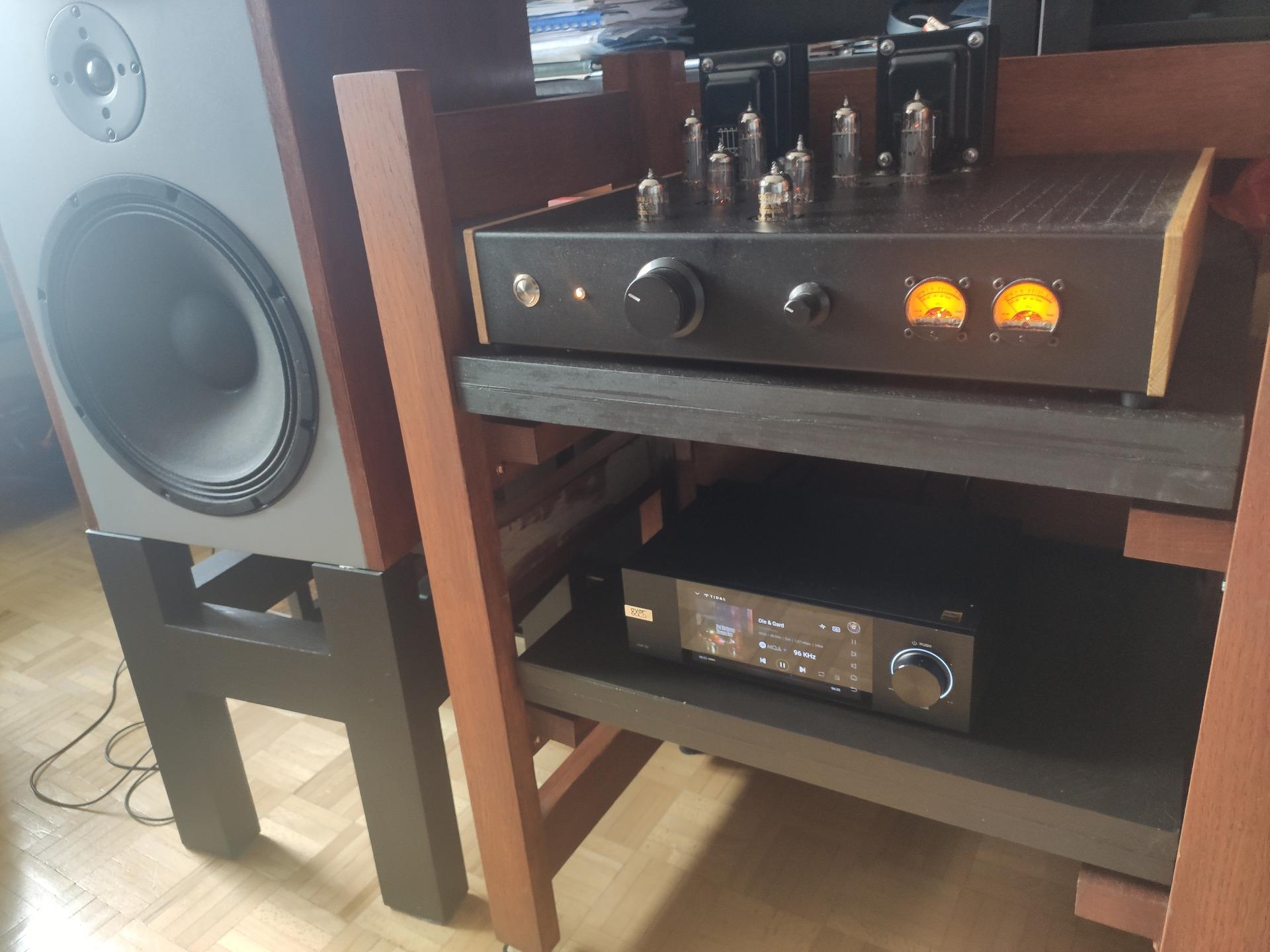 EverSolo DMP-A6 (Czarny) - Opinie i ceny na Ceneo.pl