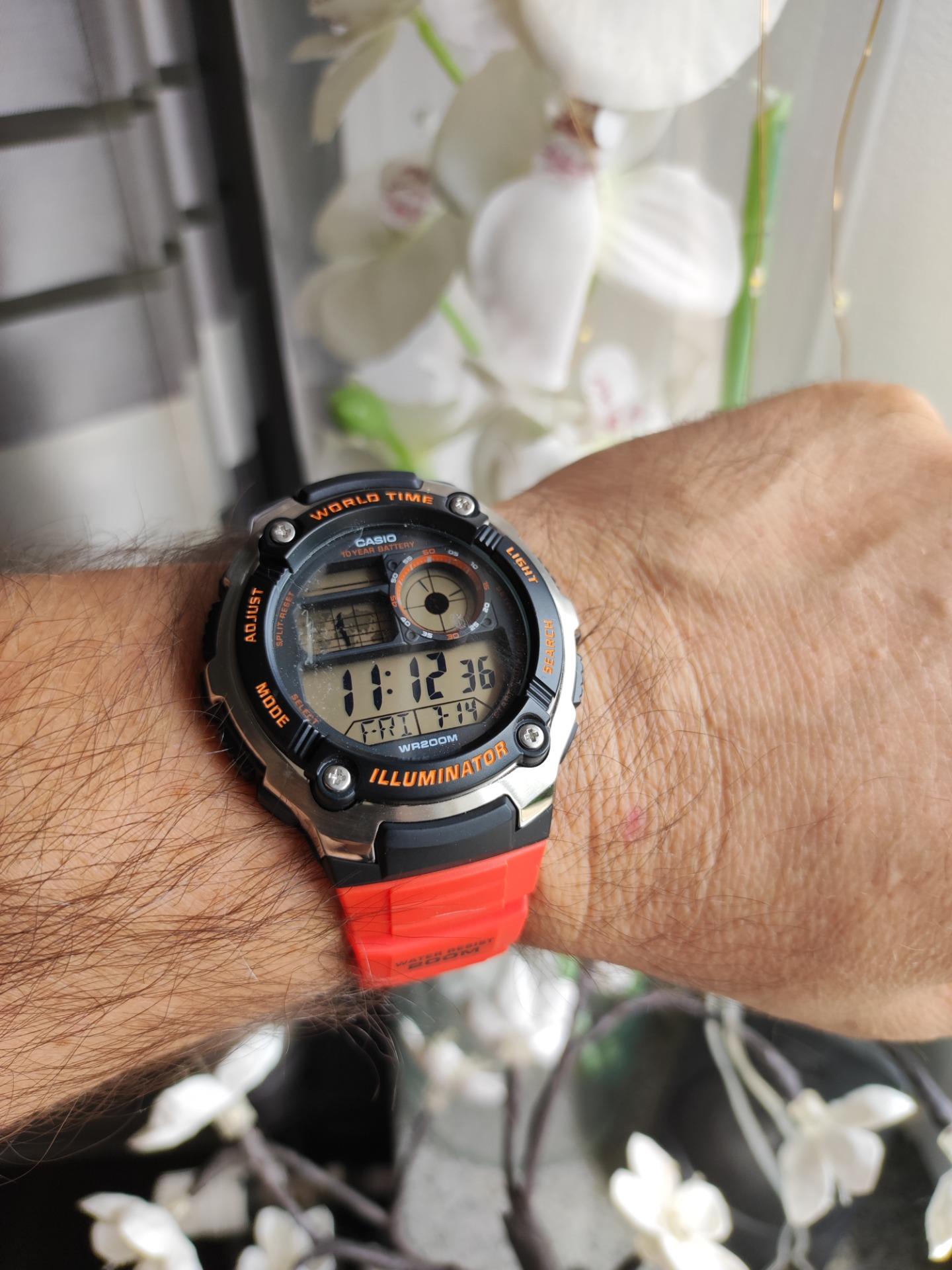 Casio AE-2100W-4AVEF - Zegarki Męskie - Ceny i opinie - Ceneo.pl