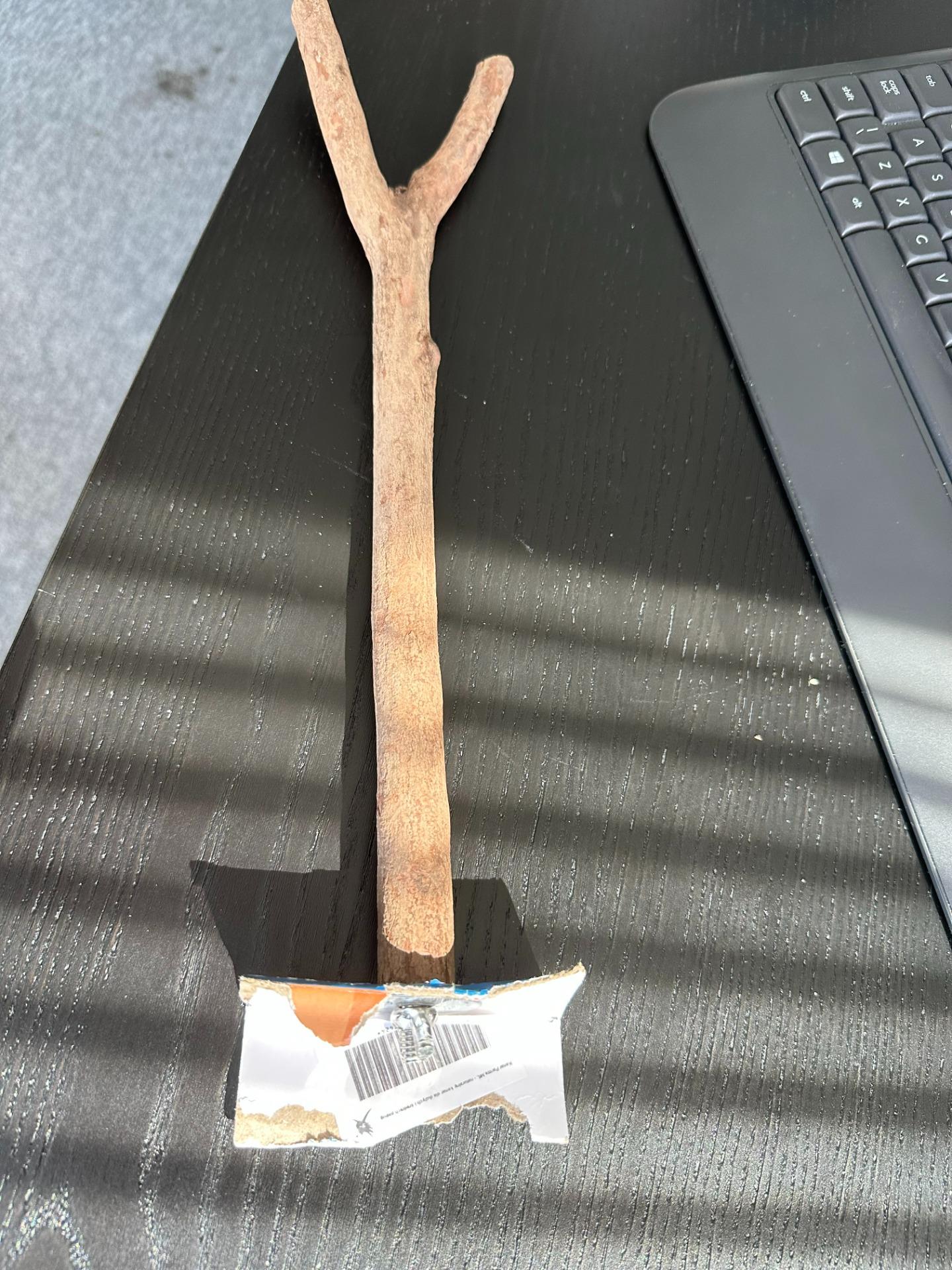 Trixie Patyk Do Klatki 45Cm - Ceny i opinie - Ceneo.pl