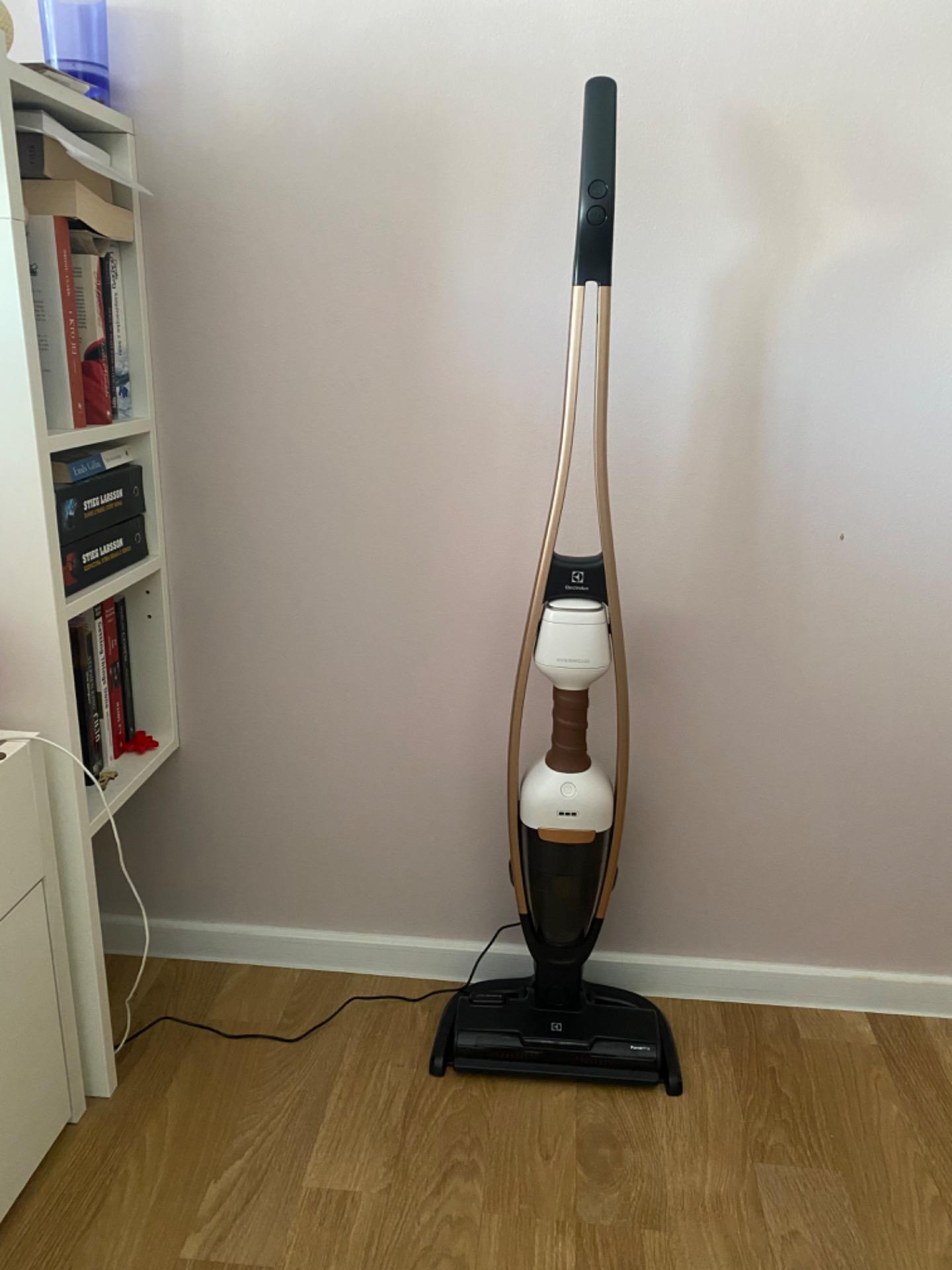 Electrolux Hygienic 600 Pure WET ES62P25WET - Opinie i ceny na Ceneo.pl