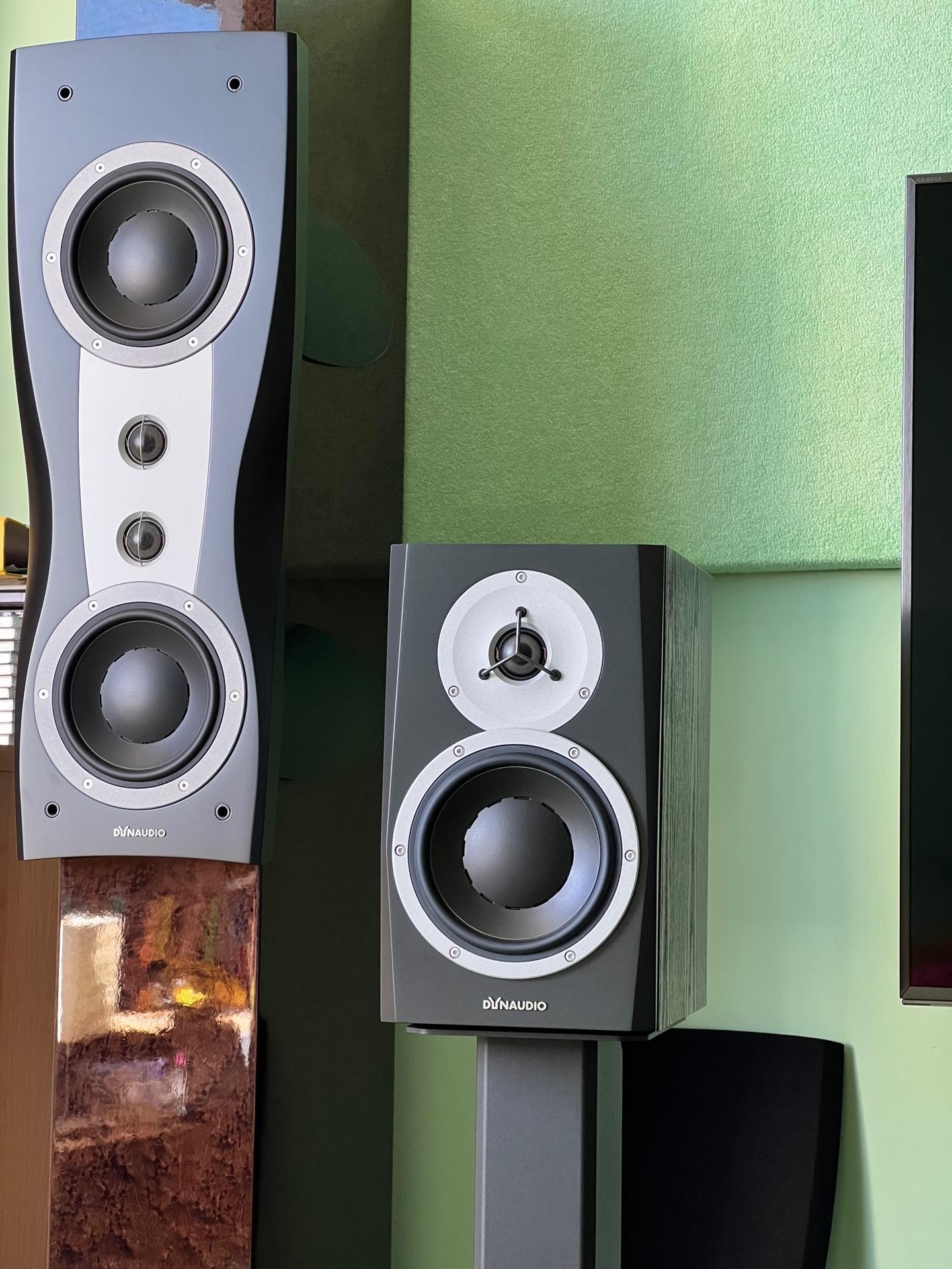 Dynaudio BM5A MKII - Ceny i opinie - Ceneo.pl