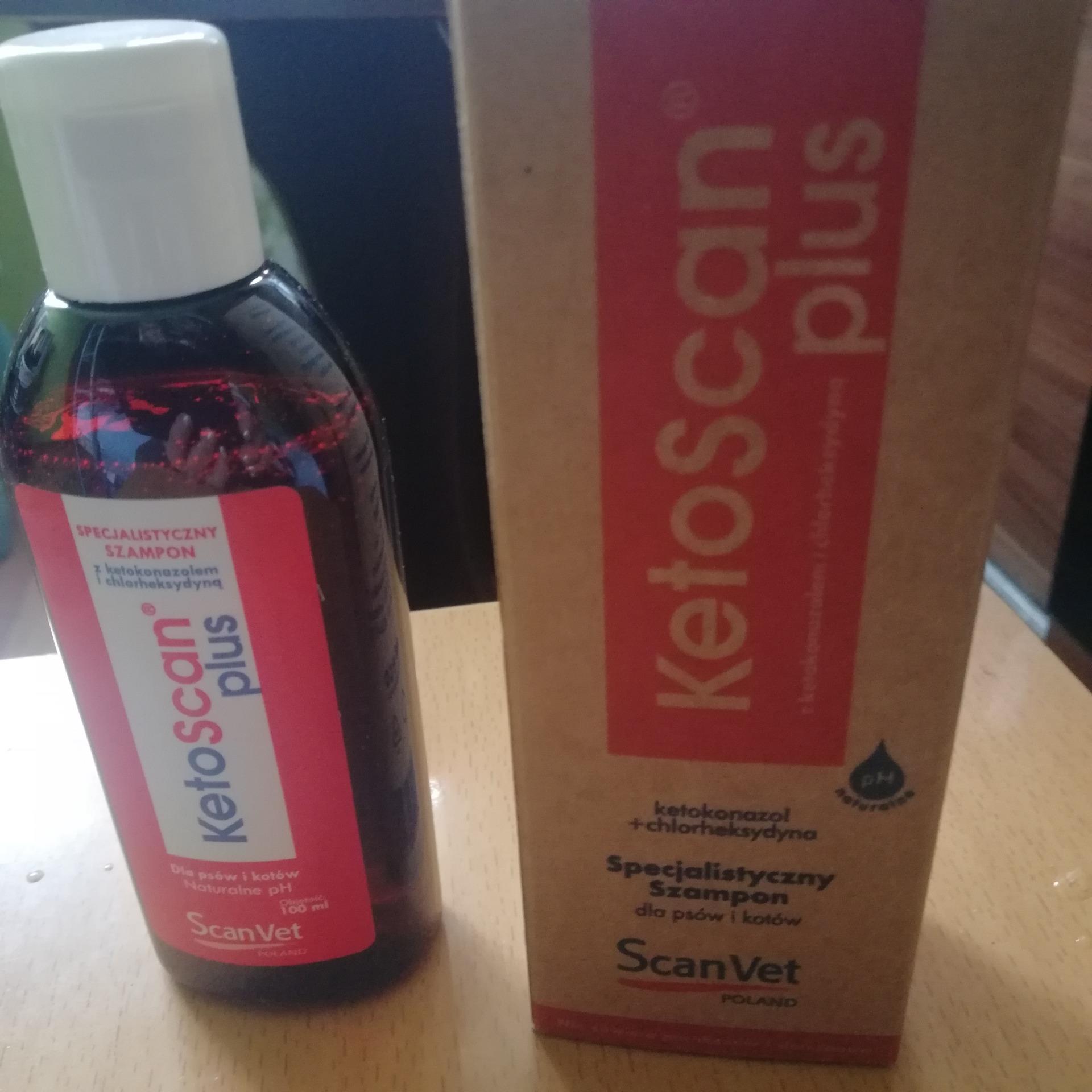 ScanVet KETOSCAN PLUS KETOKONAZOL CHLORHE 100ML - Ceny i opinie - Ceneo.pl