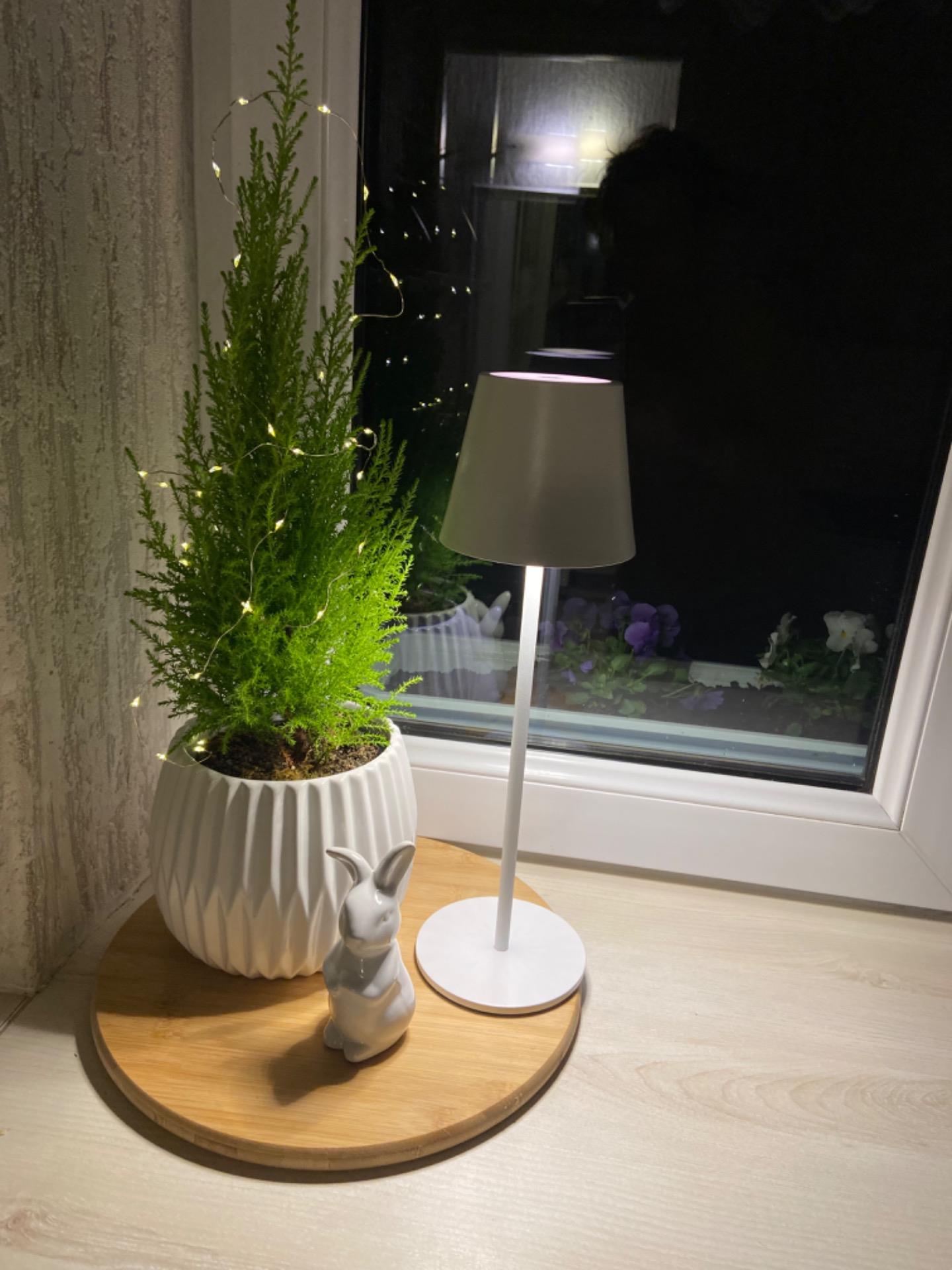 Inita Led Ip54 W Lampa Stołowa Led 36324 Kanlux - Ceny i opinie - Ceneo.pl